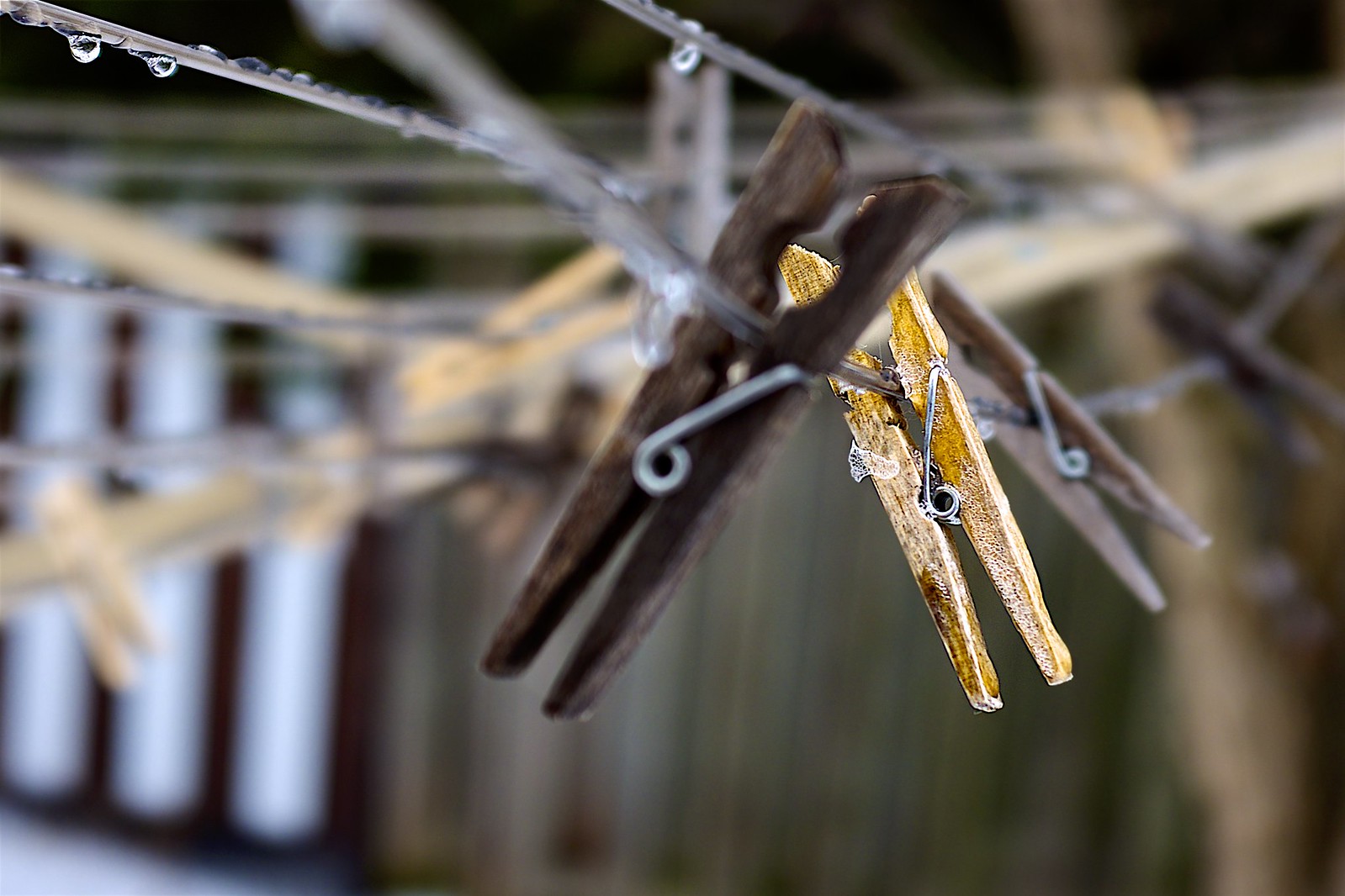 Encore les tâches domestiques — Ab Absurdo