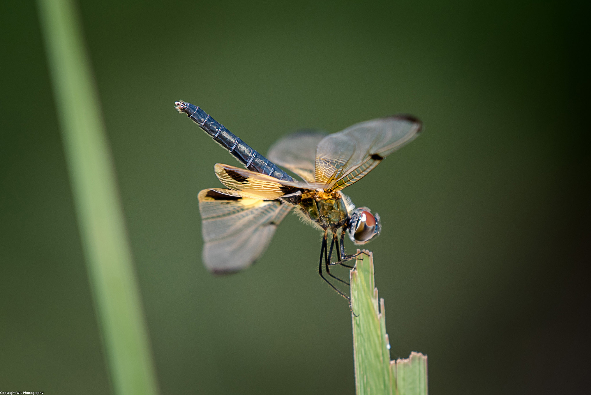 Quelques calculs avec un livre-jeux — Ab Absurdo