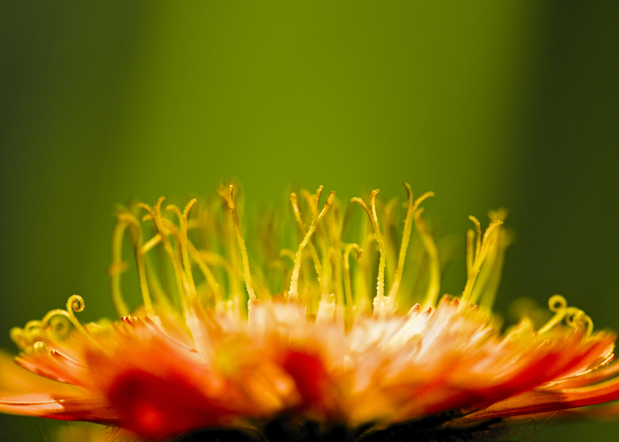 Sujets de présentation — Ab Absurdo